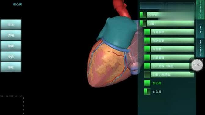 动画演示人体血液循环