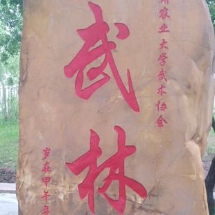 慢半拍停不下 