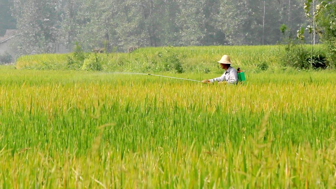 中国每年100亿个毒垃圾没人管,田里、路边哪都是,农民:懒得理