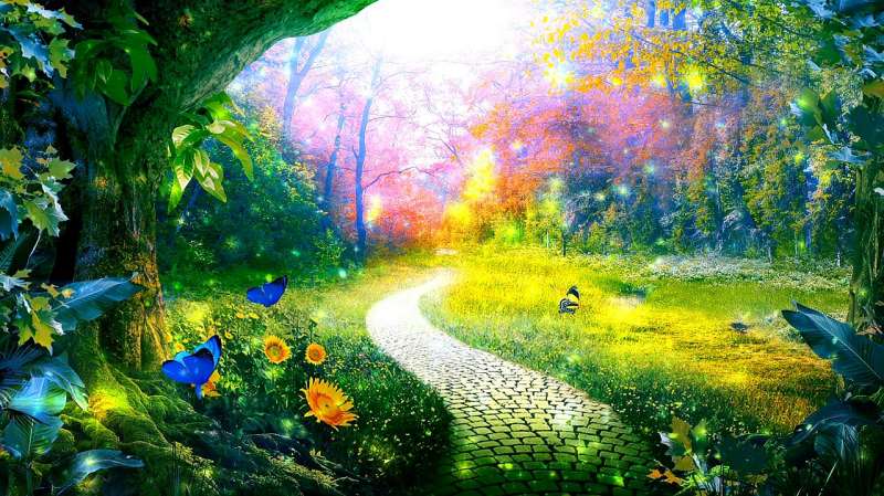 唯美梦幻森林视频