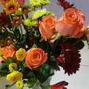 Lily1188 