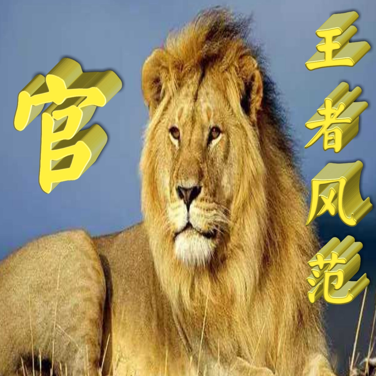 姓氏头像制作 