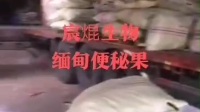 宸焜生物hdzw358-缅甸便秘果