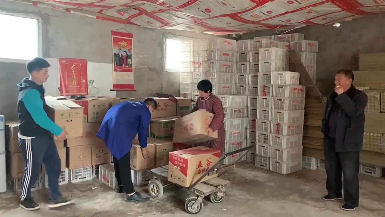 鸡蛋装车被挑出各种问题,行情不好出货真难,养殖户不易呀!
