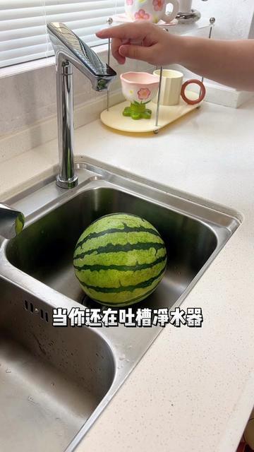 净水器选不对,真的是越用越糟心添可饮万四档变温3秒一杯水净水器