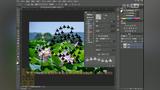 Photoshop CS6 教程教程 PS抠图教程 Photoshop实例教程