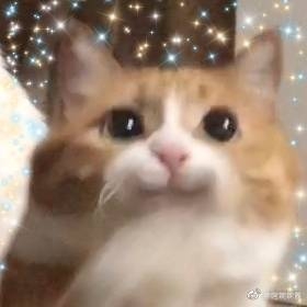 柿人间月野兔 