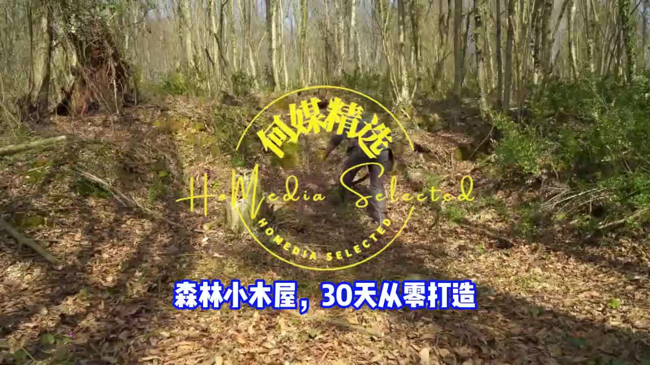 【生活方式】森林小木屋,30天从零打造