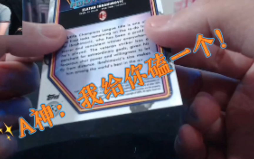 【谁是大冤种】第一期!大伊布5编泼墨!A神赶紧磕一个!