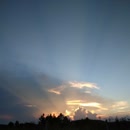 不甘堕落的小杜 