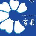 雪菊户外 