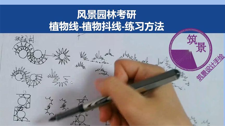 植物线刻画方法-风景园林考研手绘