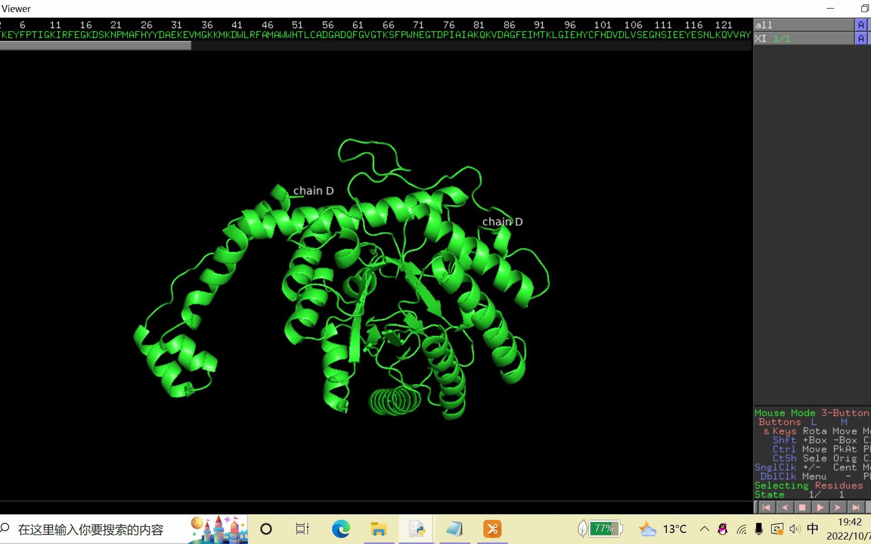 同源序列对比作图及定点突变位点寻找