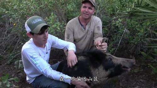 为了防止家鸡被盗,男子设置了捕兽夹,结果捕到了一只濒危物种