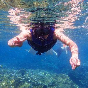 洲洲的生活日常 