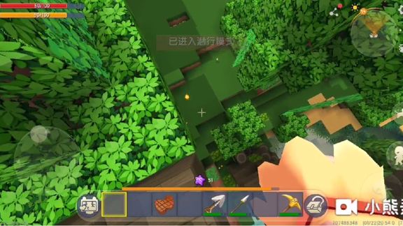 迷你世界雨林林生存。