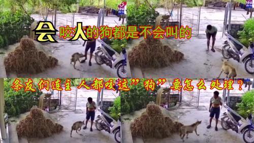 一般会咬人的狗都是不会叫的,但是这样的狗能留吗?