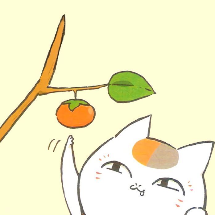 喵老师数学 