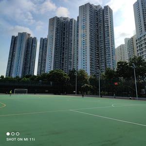 仲夏亦旋 