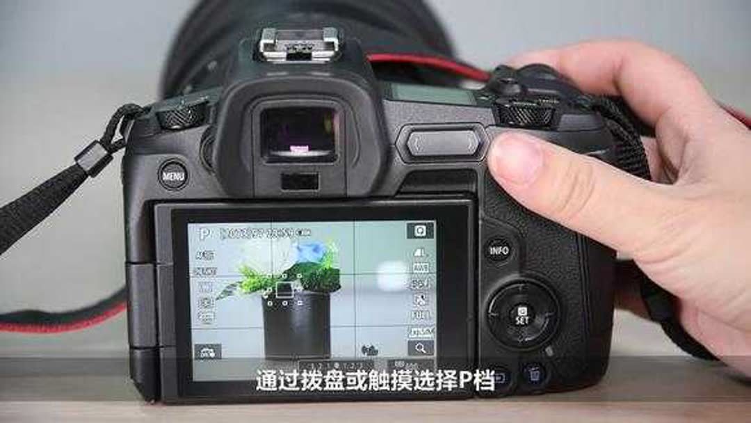全画幅微单就选EOS R 佳能微单EOS R新手上手教程
