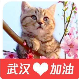 大西几的大宝贝 