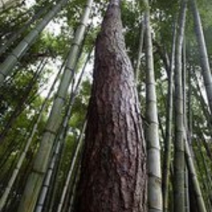 知慧工作室时光掠影1 