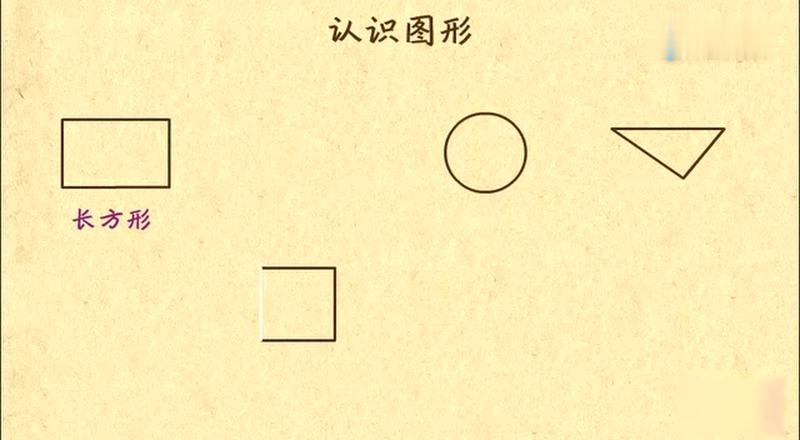 认识图形——长方形、正方形、三角形和圆等平面图形