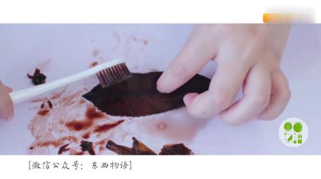3分钟教你做叶脉书签