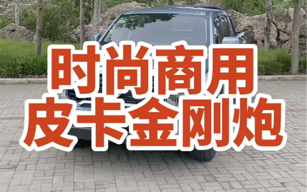 时尚皮卡 千行百业金刚炮