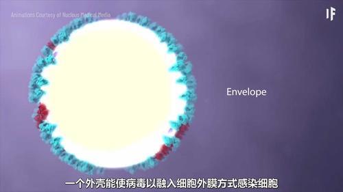 假如感染了冠状病毒会怎样?