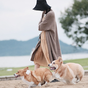 如画明州 