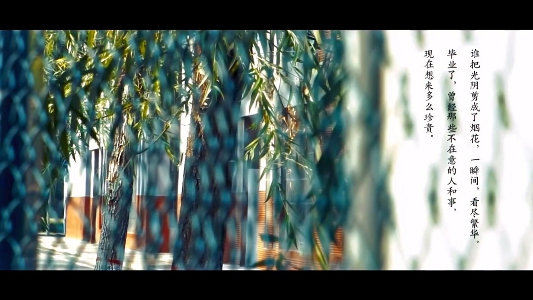 2020山东省德州市平原县第一实验小学毕业季