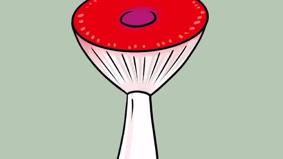 #简笔画教程 #少儿美术 #红伞伞白杆杆动画版