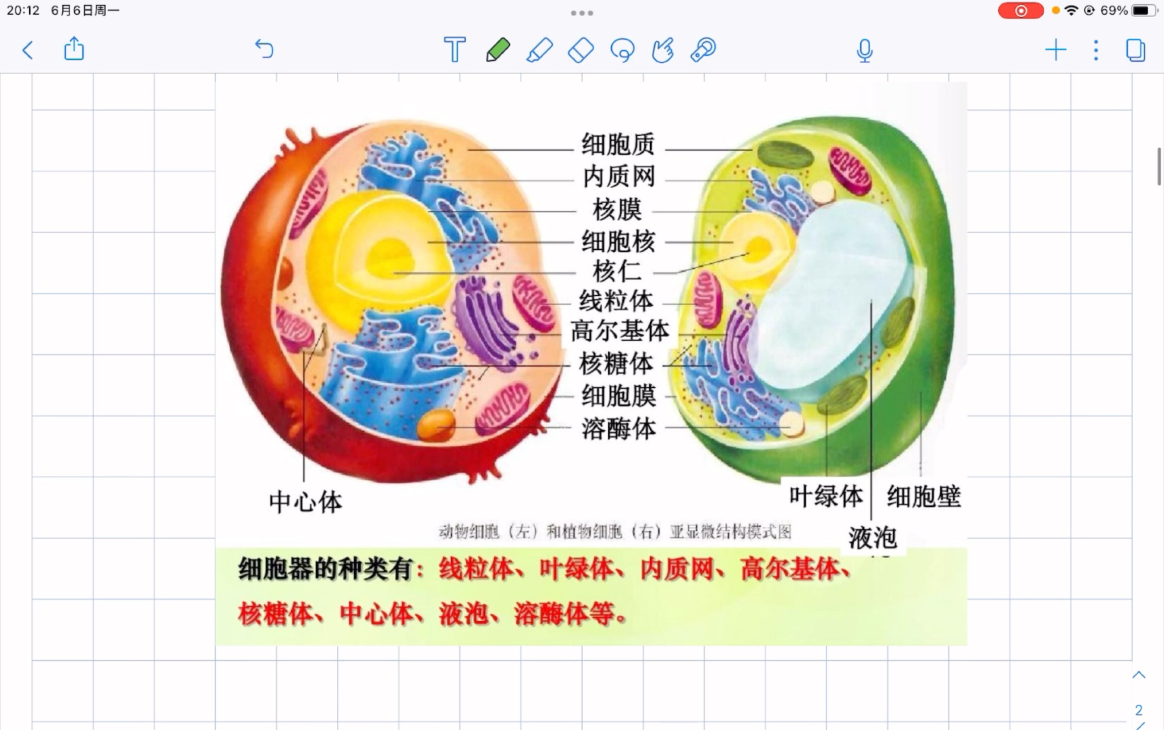 高中生物一轮复习考点九:细胞器的分工