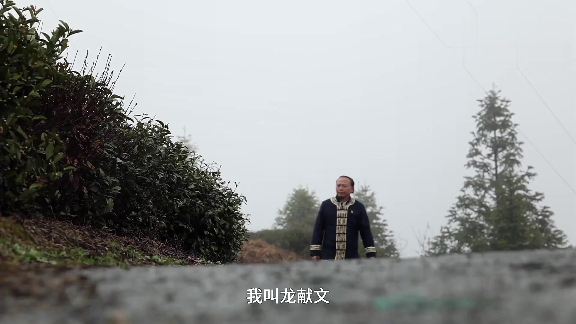 代表委员履职故事|全国人大代表龙献文:奋战在乡村振兴一线