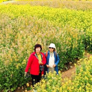 床车旅行的60后两姐妹 