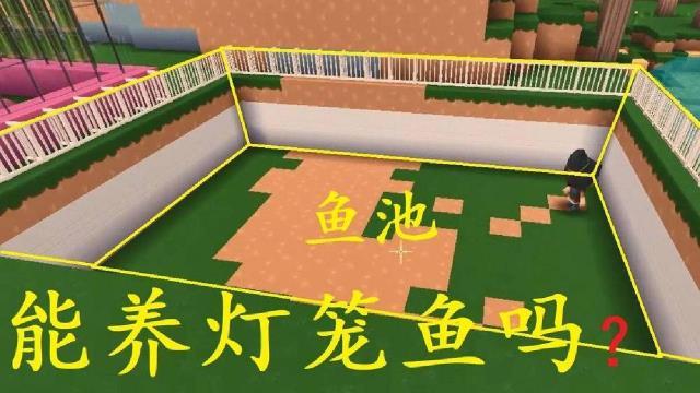 迷你世界174:我用白杨木栅栏修建了1个漂亮的鱼池,准备养灯笼鱼