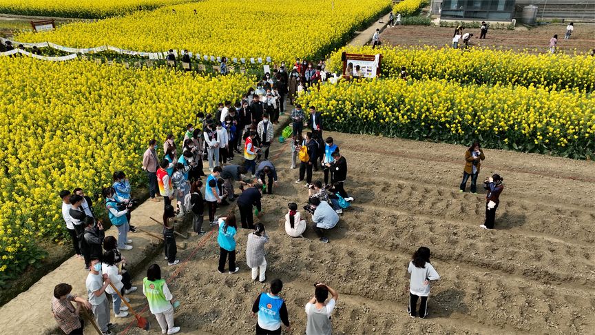 成都一高校把耕田列入必修课:课程设置丰富,随时节变化而变化