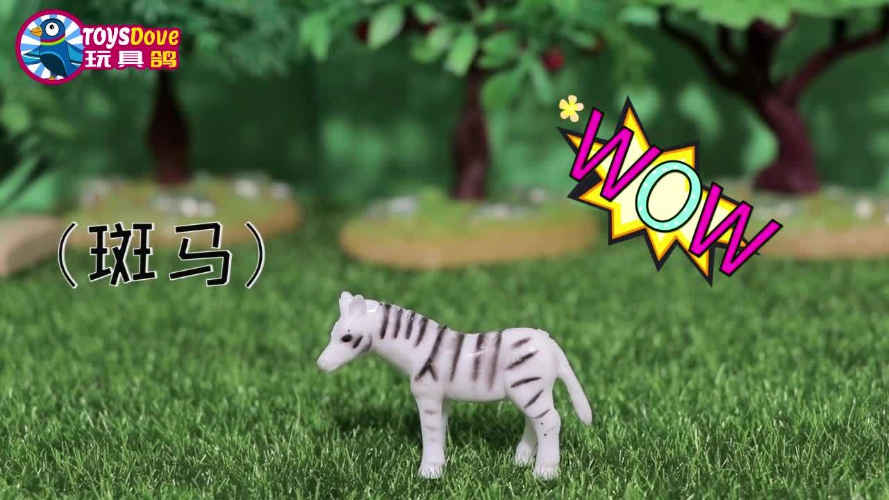 寓教于乐,这些小动物怎么都聚集在一起了?是森林开会吗?