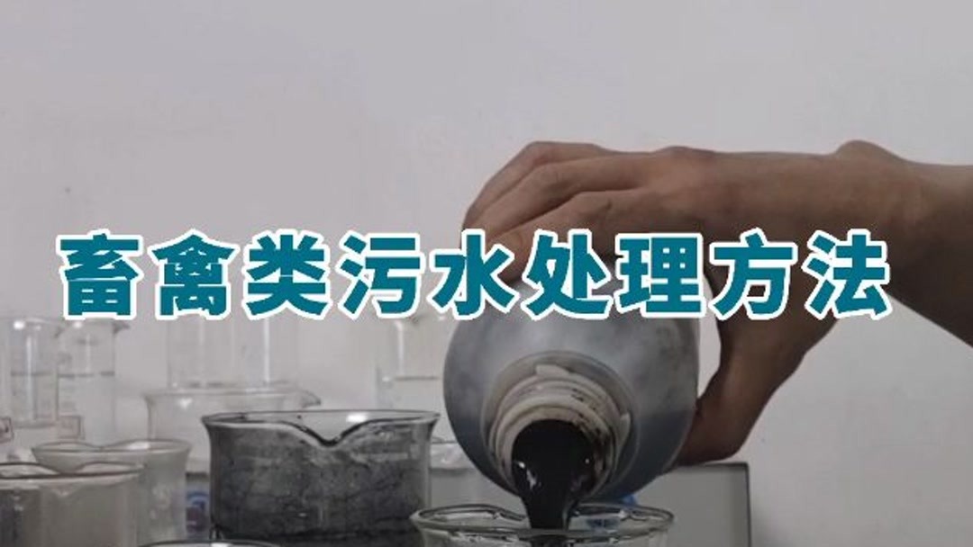 畜禽类污水处理方法 #畜禽类污水处理药剂 #畜禽类污水处理