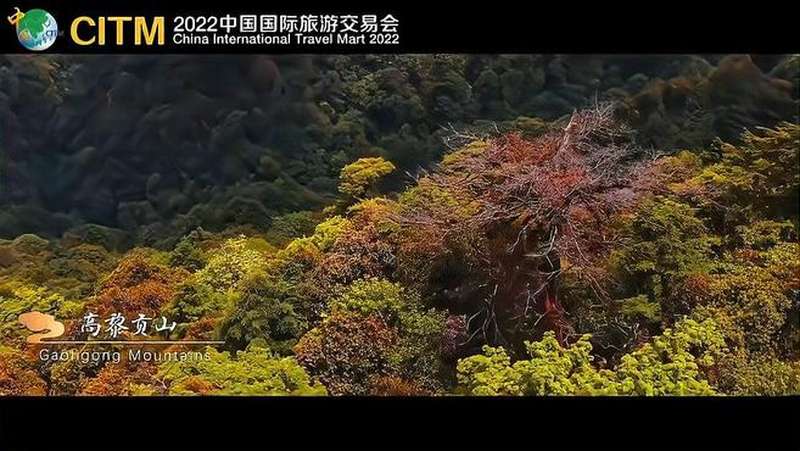2022中国国际旅游交易会 世界高黎贡山,世界自然遗产保山欢迎您!