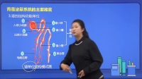 【生物苏教版七年级下册】人体泌尿系统的组成