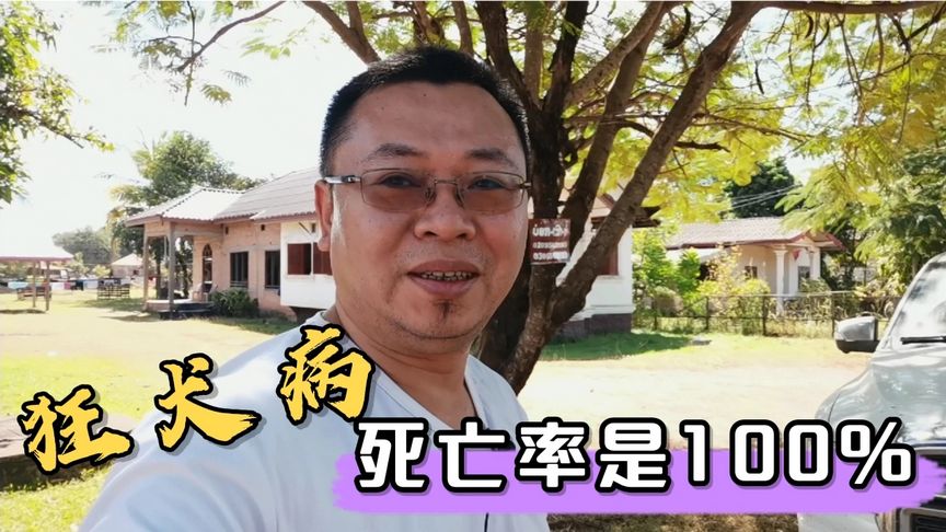 狂犬病死亡率竟然是100%,还没有特效药,吓得我赶紧打一针