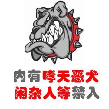 闲杂人等VLOG 