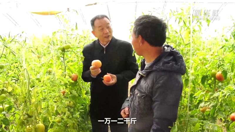 [人大代表好故事]履职五年间:全国人大代表李士强:带领乡亲走向共同富裕