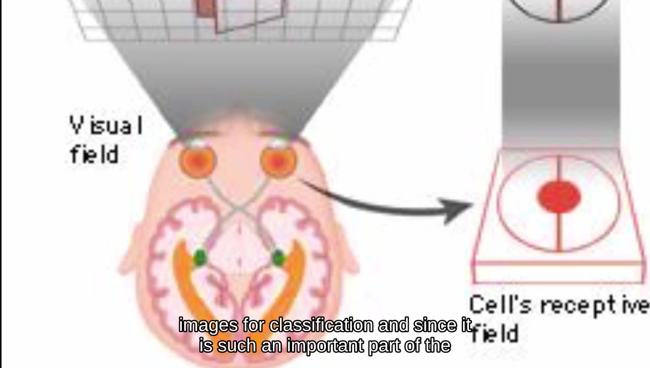深度学习:Python中的卷积神经网络(英文字幕)