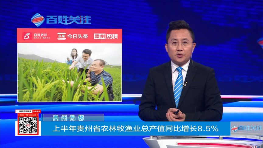 贵州热榜:上半年贵州省农林牧渔业总产值同比增长8.5%