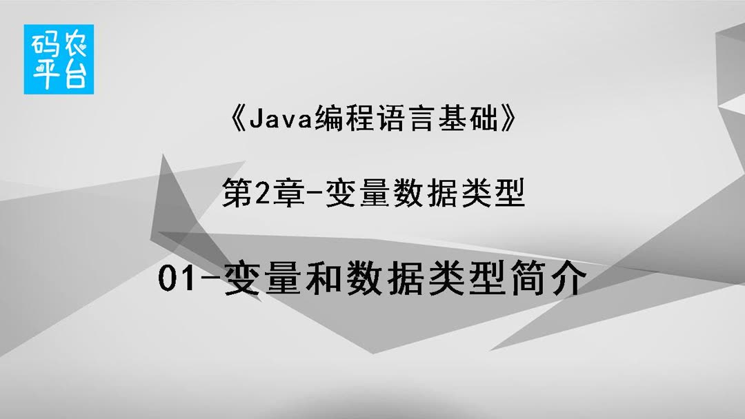 01_变量和数据类型简介