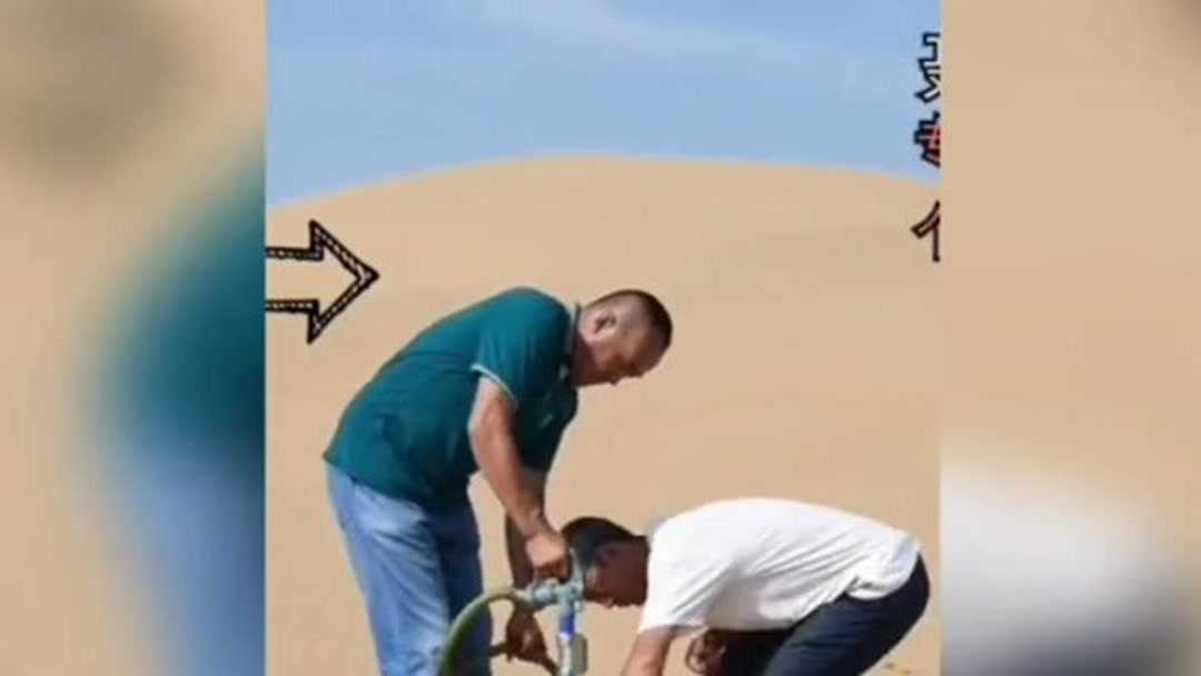 硬核种树,十秒一棵,绿色改变中国!#植树节