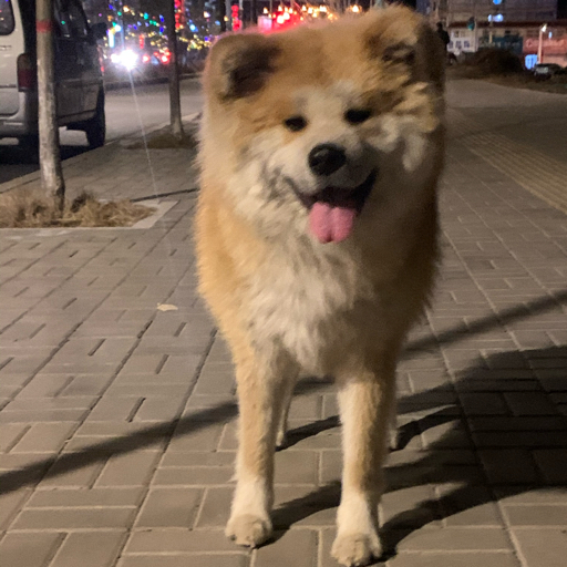 曹ao 